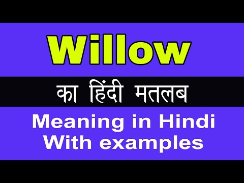 Willow Meaning in Hindi/Willow ka Matlab kya Hota hai