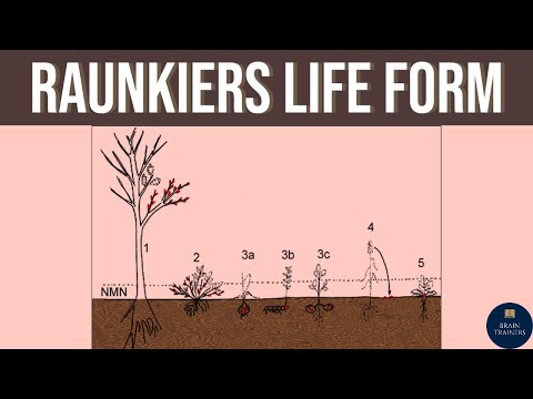 Raunkiers Life Form | Ecology #csirnet #mpset