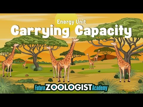 Carrying Capacity and Limiting Factors