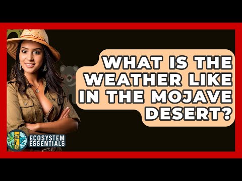 What Is The Weather Like In The Mojave Desert? - Ecosystem Essentials