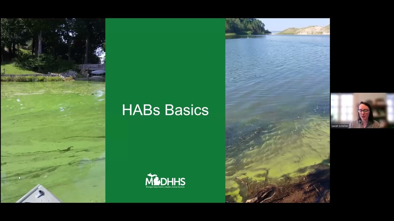 Harmful Algal Blooms 101 (clip from HABs 101: Prevention and Management webinar)