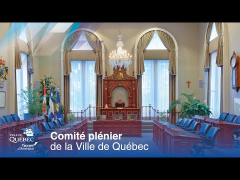 4 mai 2021 - Comité pénier - Rapport financier et reddition de comptes 2020