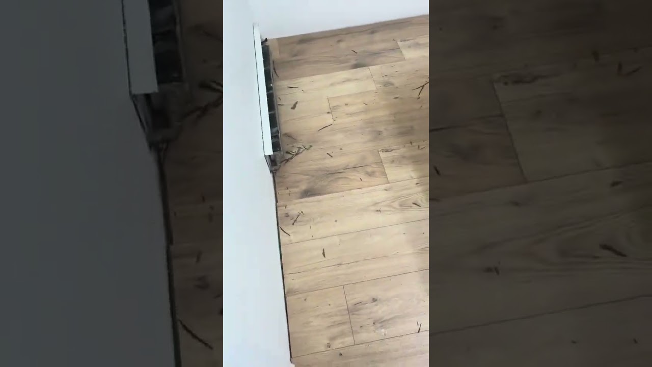 North Russells Apartments | 1-12-25 - Flooring Update