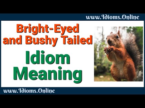Bright-Eyed and Bushy Tailed Idiom Meaning