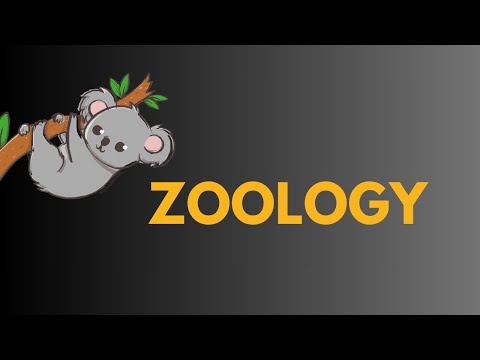 What Does zoology Means || Meanings And Definitions With zoology in learn ENGLISH