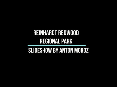 Reinhardt Redwood Regional Park | Slideshow | Season 3, Episode 6 (10/18/2020)