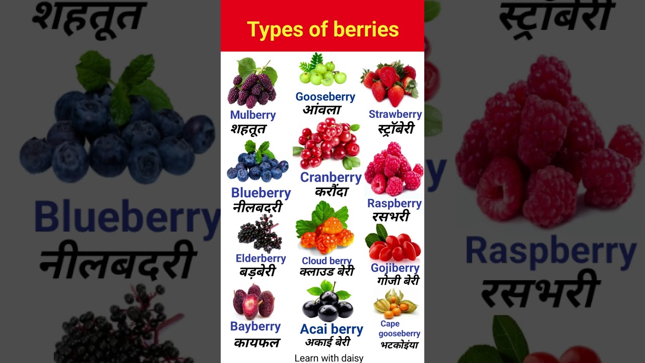 Kinds of berries  ।  Common berries can you eat। Types of berries