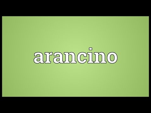 Arancino Meaning
