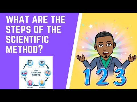 What Are The Steps of The Scientific Method?