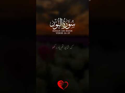 #quran #quotes #quranictranslation #quranverses #bayan #religiousbook