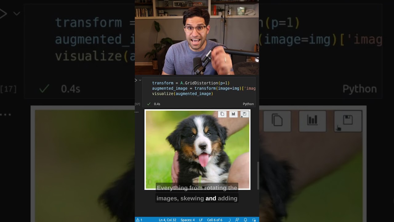 Image Augmentation is AMAZING!