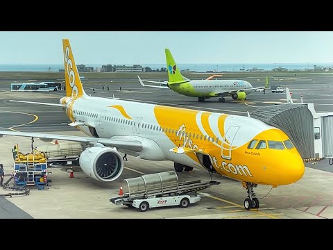 SCOOT REVIEW | Airbus A321neo | TR813 Jeju to Singapore