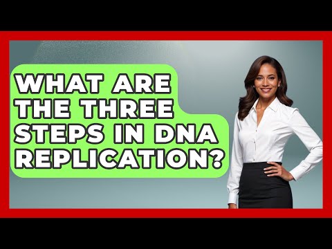 What Are The Three Steps In DNA Replication? - Biology For Everyone