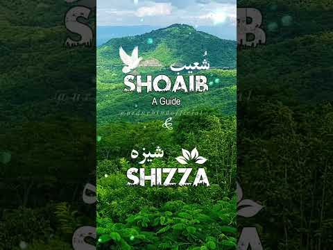🌹Shoaib & Shizza🌹 | Name Meaning Status || Urdu e Hind Official #ytshorts #shorts