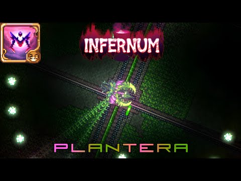 Steam Community :: Video :: Plantera NOHIT - Infernum Calamity Mod ...