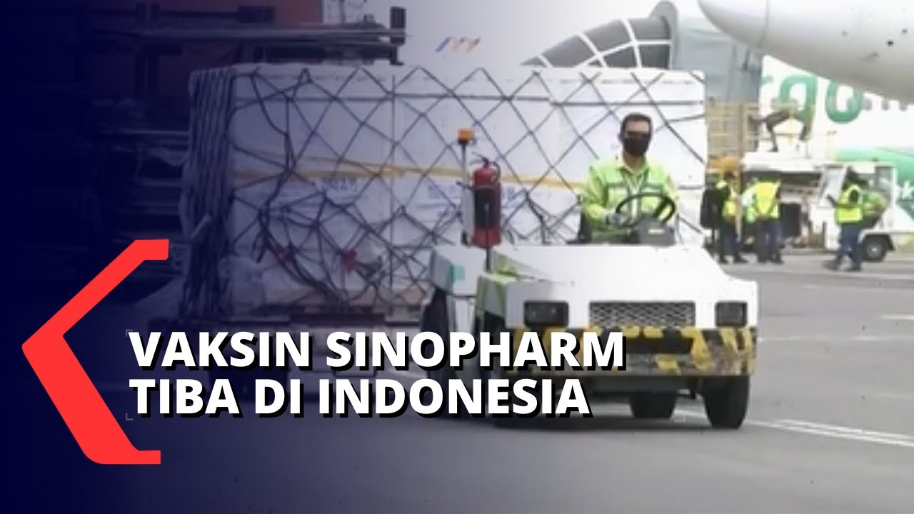 Vaksin Sinopharm Tiba Untuk Vaksinasi Gotong Royong
