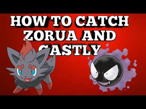 HOW TO FIND ZORUA AND GASTLY IN POKEMON BRICK BRONZE!!!