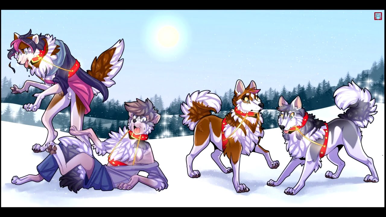 Dog TF #3
