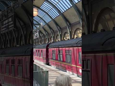 Hogwarts Express coming into the Platform!!