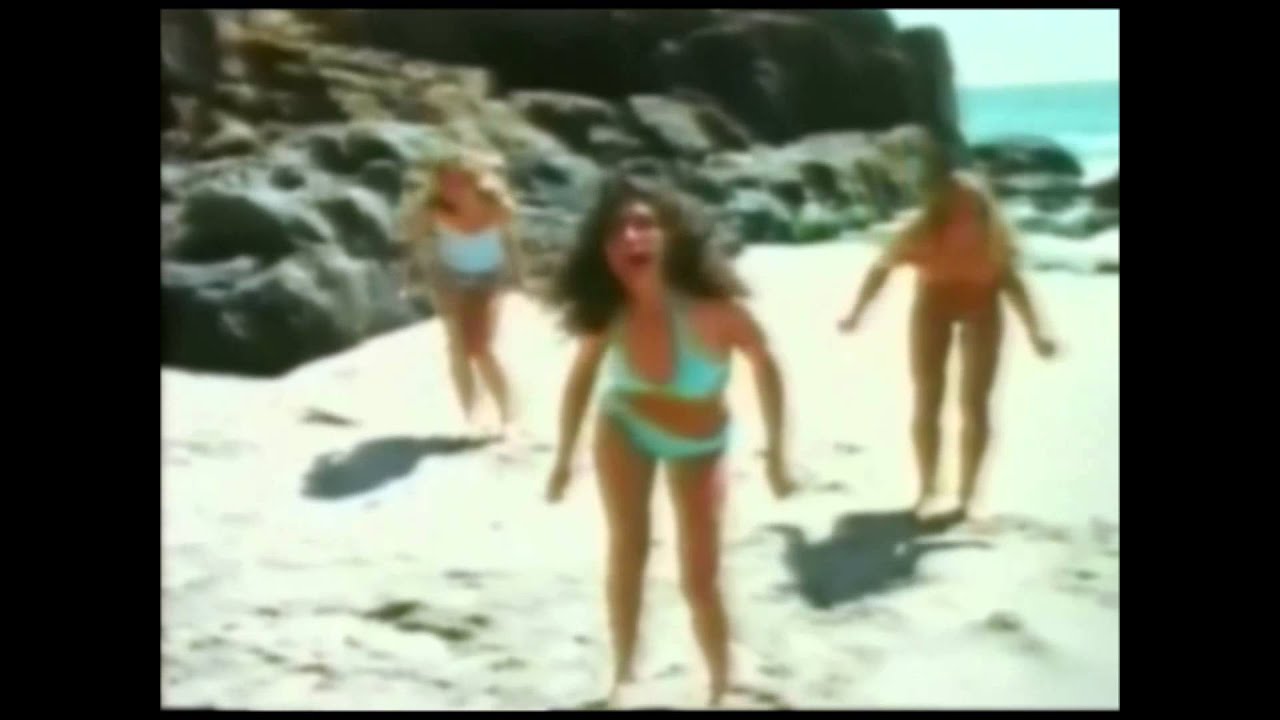 VHS Logos - TV2 (2013) video