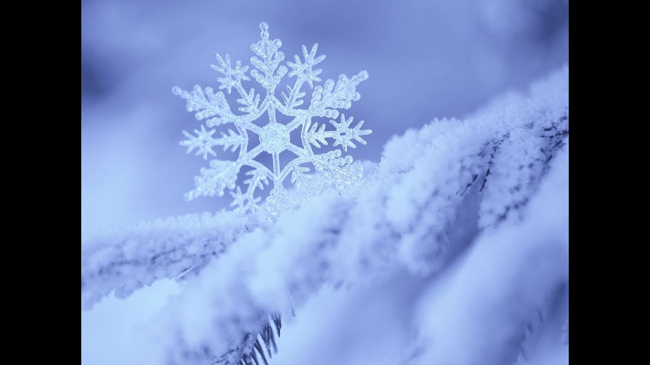 Hydrometeors. Rain snow hail - interesting facts.