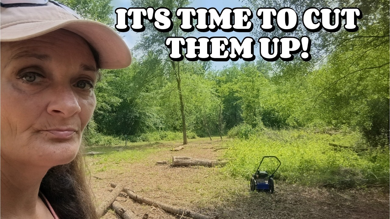 IT'S TIME TO CUT THEM UP!