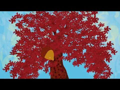 Anim8Nature: Oak Tree (Acorn) Life Cycle
