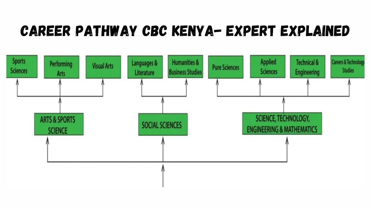 CBC Subject & Career Pathway Kenya || 4 Major Career Pathways -Expert precise & Simple Explanation