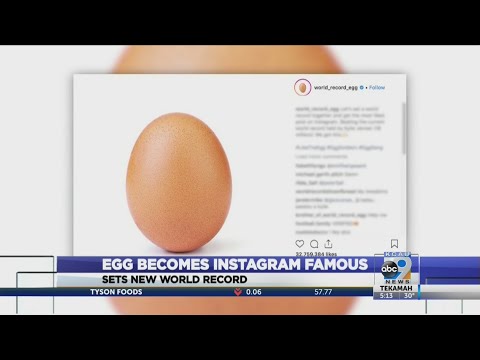 the egg of instagram