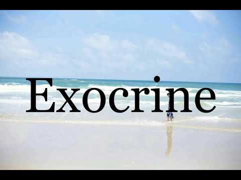 How To Pronounce Exocrine🌈🌈🌈🌈🌈🌈Pronunciation Of Exocrine