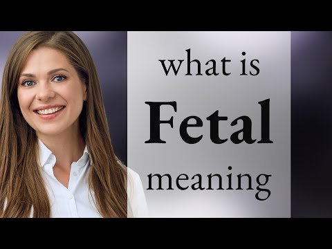 Fetal | meaning of FETAL