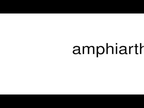 How to pronounce amphiarthrosis