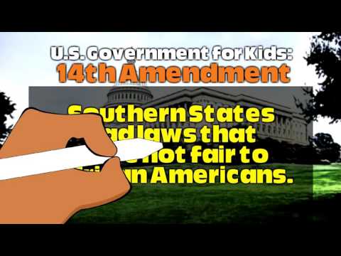 Black History Month Mini Lesson - The 14th Amendment