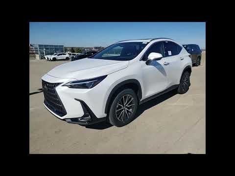 2025 Lexus NX 350 Schaumburg IL 250560