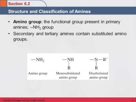 3B 6.2 Structure & Classification of Amines