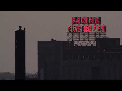 Farine Five Roses Flour Neon Sign Before Sunrise June 24 2024 EMR 8512
