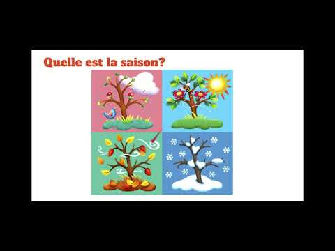 Les 4 Saisons : The 4 Seasons in French : French Kinder TV