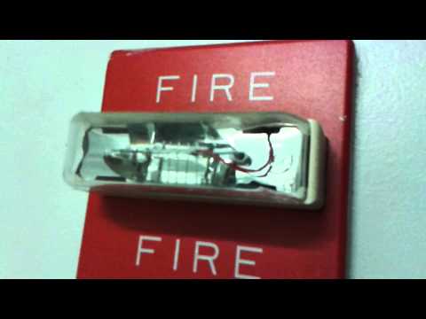 Fire Alarm Hooter - Fire Hooter Latest Price, Manufacturers & Suppliers