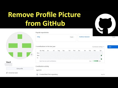How to Remove Profile Picture from GitHub?