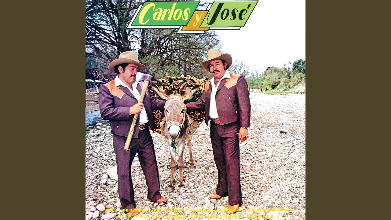Bodas De Oro