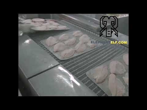 Tunnel Freezer IQF machinery of Tilapia Pangasius Fish Fillet full freezing processing line