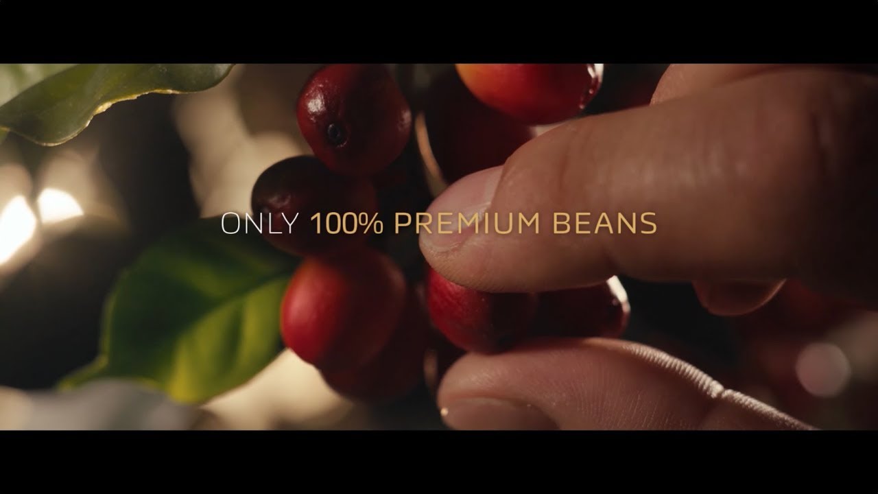 NESCAFÉ GOLD – Crafted with Care
