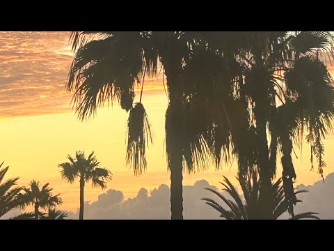 Welcome to PALM BEACH HOTEL in Gran Canaria!