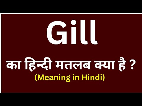 Gill meaning in hindi || Gill ka matlab kya hota hai || word meaning daily use word