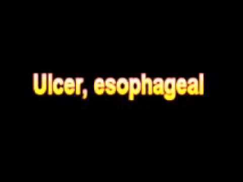 What Is The Definition Of Ulcer, esophageal Medical School Terminology Dictionary
