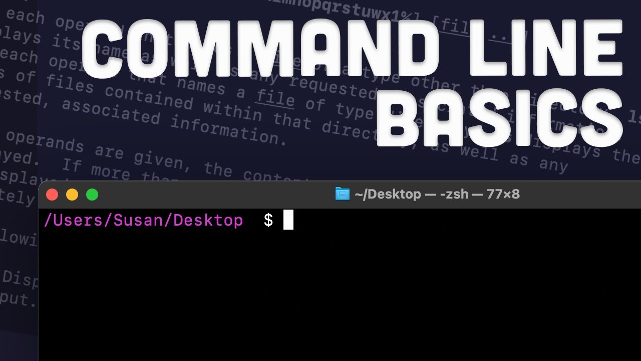 Command Line Basics for Web Developers (Terminal / Git Bash)