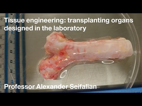 Tissue engineering: transplanting organs designed in the laboratory – Alexander Seifalian