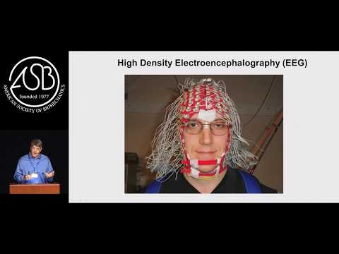 Ferris - Twenty years of biomechanics (and some energetics and neural control)