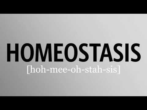 How to pronounce homeostasis