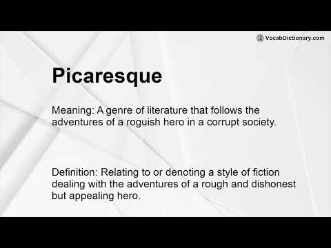 Picaresque Meaning